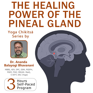 8 Forms of Shiva (Ashtamurti): Different Forms of Lord Shiva